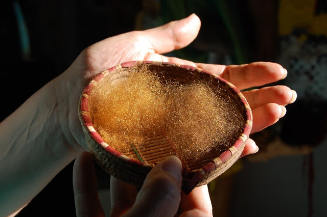 Il bisso prodotto da Chiara Vigo, tessuto dei Re | Alpi Fashion Magazine